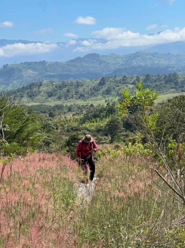 Palenque: Chichonal Volcano Hike with Cacao & local food - Authenticity and Value