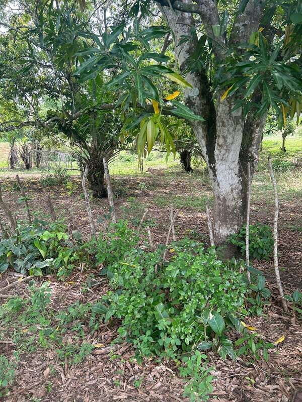 Palenque: Eco-Tour on Horseback with Lunch - Final Thoughts