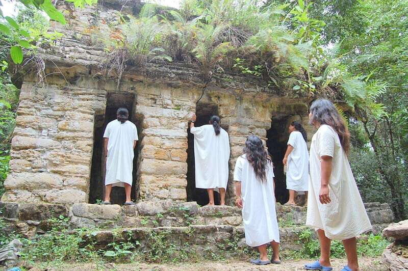 Palenque: Lacandona Jungle Path - Ecotourism Adventure - An In-Depth Look at the Palenque: Lacandona Jungle Path Tour