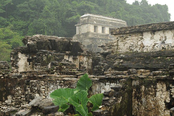 Palenque Mayan Ruins, Misol-Ha and Agua Azul Waterfalls Full Day Tour from Palenque - FAQ: Your Practical Questions Answered