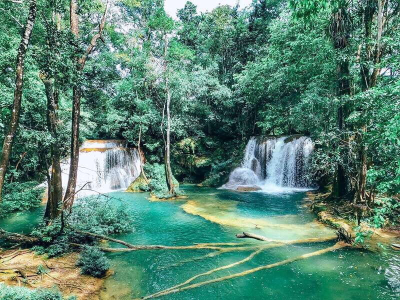 Palenque: Roberto Barrios Waterfall Tour - Transportation and Practicalities