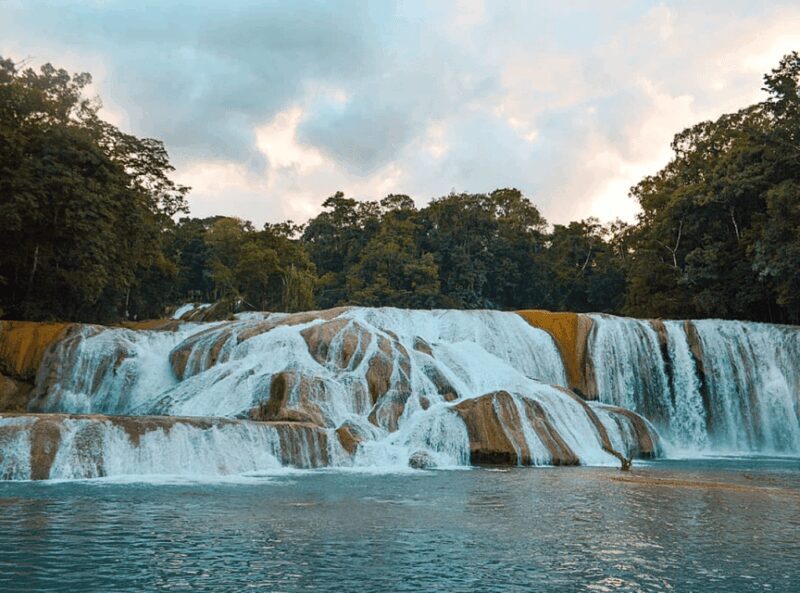 Palenque: Roberto Barrios Waterfall Tour - The Experience: What Travelers Say