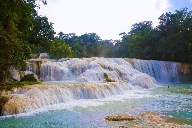 PALENQUE RUINS, AGUA AZUL and MISOL-HA (Private) - Analyzing the Value