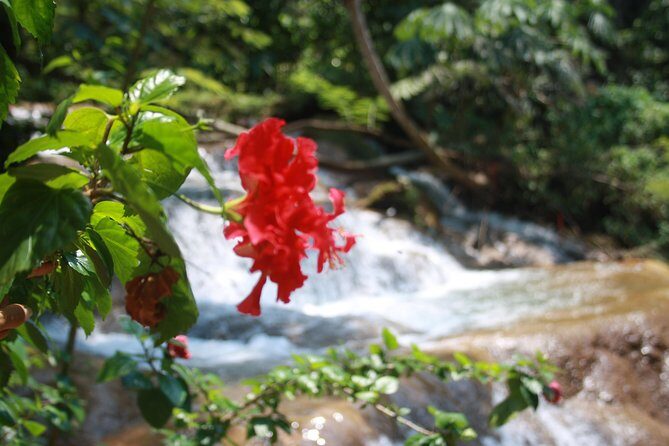 PALENQUE RUINS, AGUA AZUL and MISOL-HA (Private) - FAQs