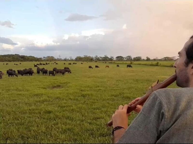 Palenque: waterfalls, buffalo, & birdwatching, a soulful immersion - Who Should Join This Tour?