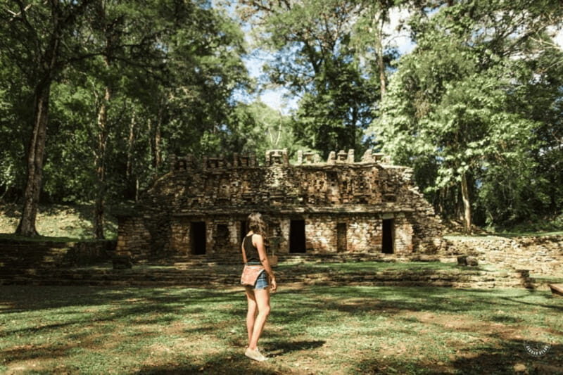 Palenque: Yaxchilán and Bonampak Archaeological Area Tour - Key Points