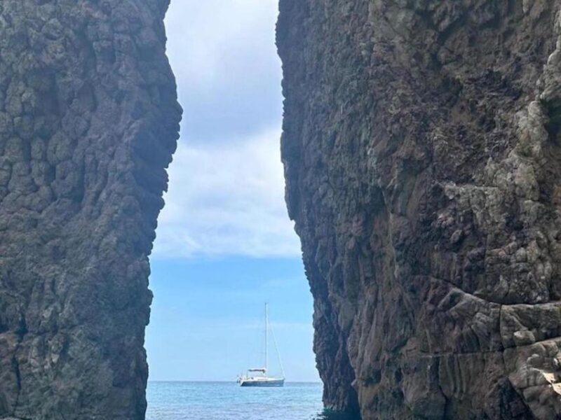 Palermo: boat tour with drinks and fresh fruit on board - Practical Considerations