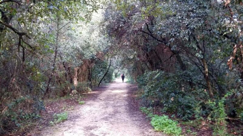 Palermo: Day trip to Monte Pellegrino - Key Points