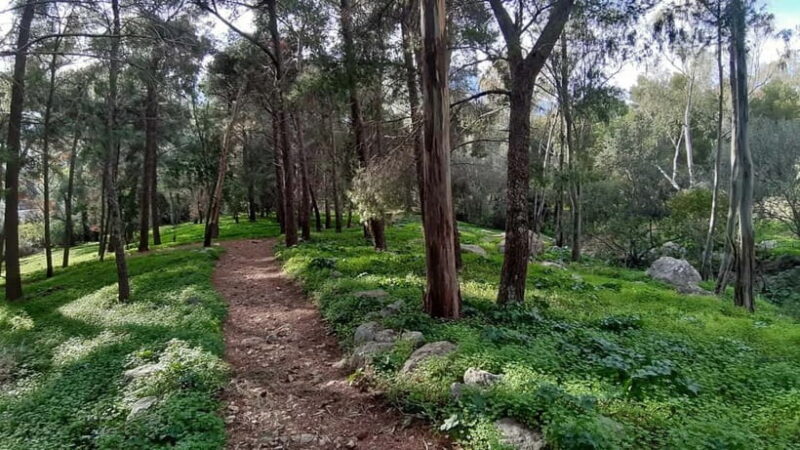 Palermo: Day trip to Monte Pellegrino - Exploring Palermo’s Green Heart: Monte Pellegrino