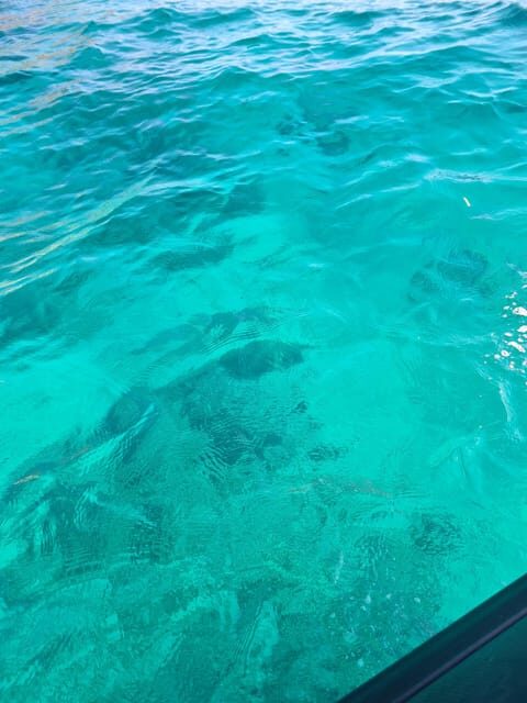 Palermo: HALF-DAY TOUR ON BOAT - Key Points