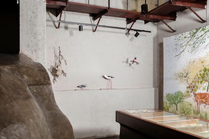 Palermo: sensorial experience of nature and ecology - Key Points