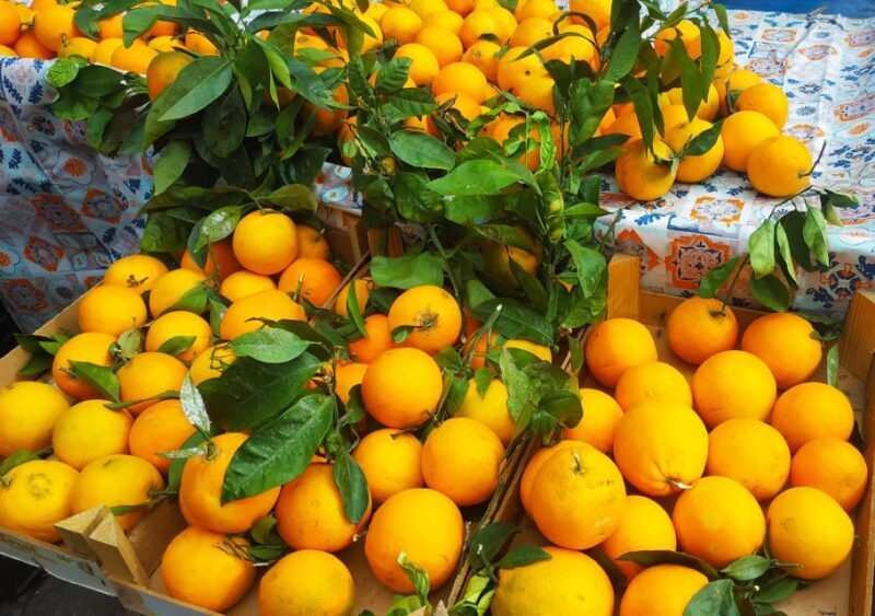 Palermo: Street Food Walking Tour with Local Guide & Tasting - Introduction