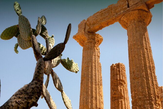 Palermo to Siracusa: stop at Valley of Temples & Roman Villa - Analyzing Price and Value