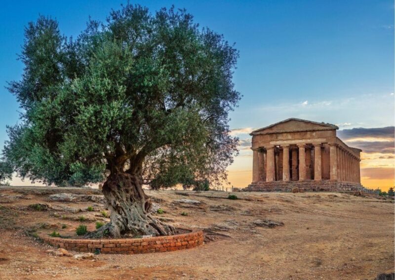 Palermo to Taormina: stop Valley of Temples and Roman Villa - Detailed Breakdown of the Itinerary