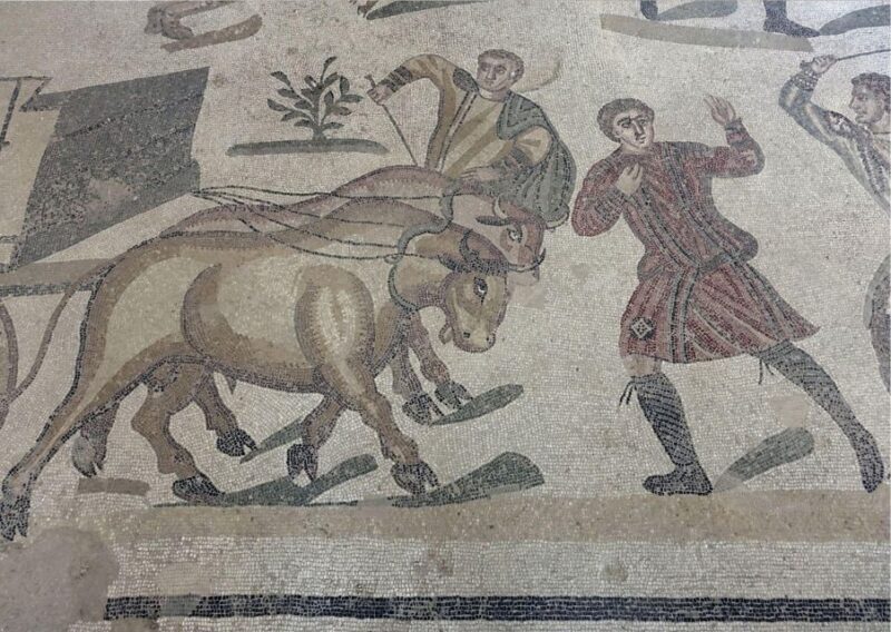 Palermo to Taormina: stop Valley of Temples and Roman Villa - The Cost and Its Value
