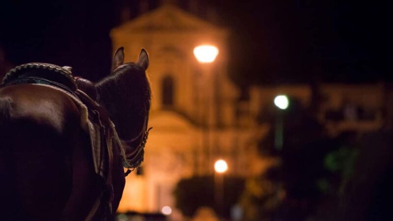 Palermo's Dark Shades: Ghost, Crime and Tasting Walking Tour - A Deep Dive into Palermo’s Dark Side