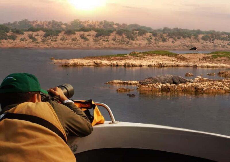 Palighat Chambal Crocodile Boat Safari - Key Points