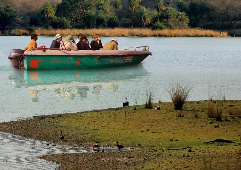 Palighat Chambal Crocodile Boat Safari - The Sum Up: Who Should Consider This Experience?