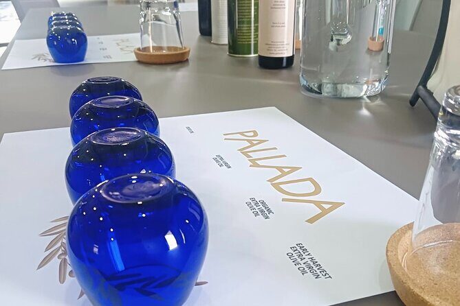 Pallada Semi-Private Olive Oil Tours in Sternes, Chania - An Authentic Peek into Crete’s Olive Oil Heritage