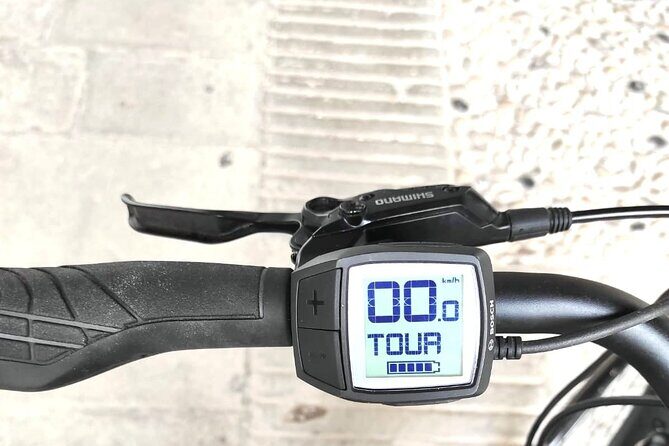 Palladian E-Bike Rental in & around Vicenza - The Value for Money