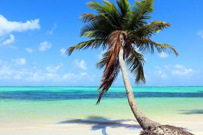 Palladium Punta Cana - Round Trip Shuttle - Punta Cana Airport - Who Is This Service Best For?