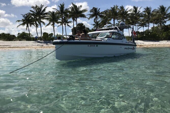 Palm Beach Luxury Day Boat Cruises - What You Can Expect During the Tour