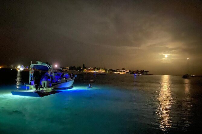 Palm Beach Luxury Day Boat Cruises - Why This Tour Works