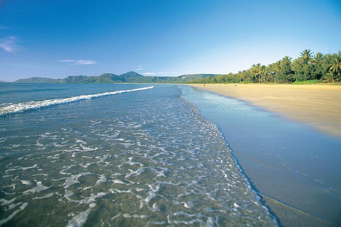 Palm Cove to Port Douglas ONE WAY Private Transfer 6 pax - Who Would Benefit Most?