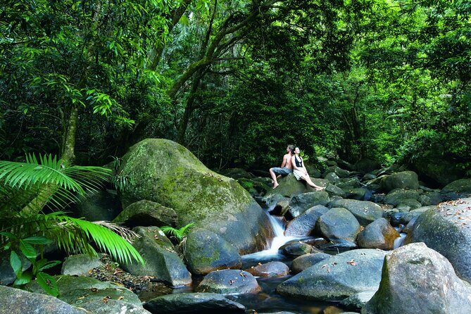 Palm Cove to Port Douglas ONE WAY Private Transfer 6 pax - Final Thoughts
