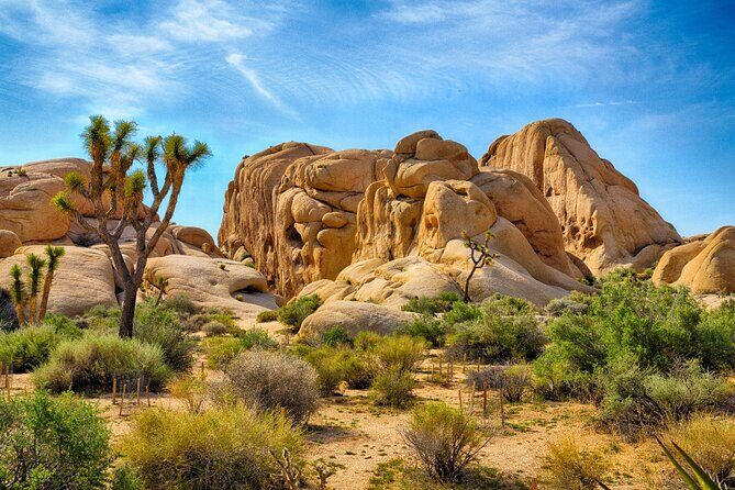 Palm Springs and Joshua Tree Self-Guided Driving Audio Tours - Pocket Guide to the Palm Springs and Joshua Tree Self-Guided Driving Audio Tour