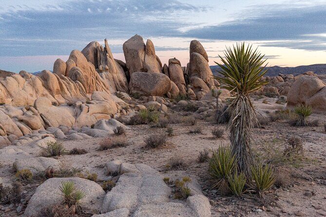 Palm Springs and Joshua Tree Self-Guided Driving Audio Tours - FAQ