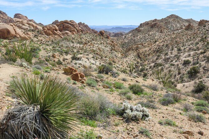 Palm Springs and Joshua Tree Self-Guided Driving Audio Tours - Final Thoughts