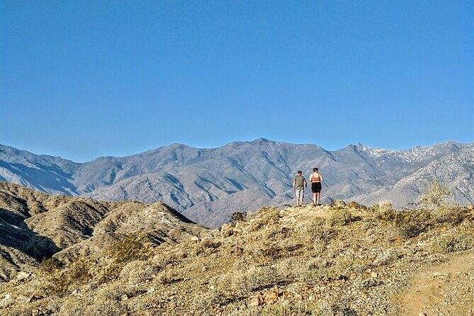 Palm Springs Hike to an Oasis and Amazing Desert Views - Introducing the Palm Springs Hike to an Oasis and Amazing Desert Views