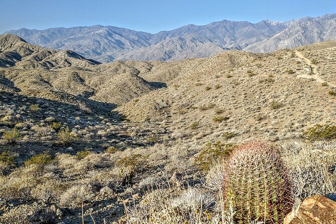 Palm Springs Hike to an Oasis and Amazing Desert Views - Key Points