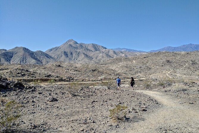 Palm Springs Hike to an Oasis and Amazing Desert Views - Why This Hike Offers Great Value