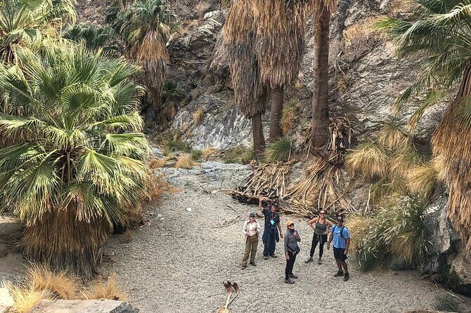 Palm Springs Hike to an Oasis and Amazing Desert Views - Who Should Consider This Tour