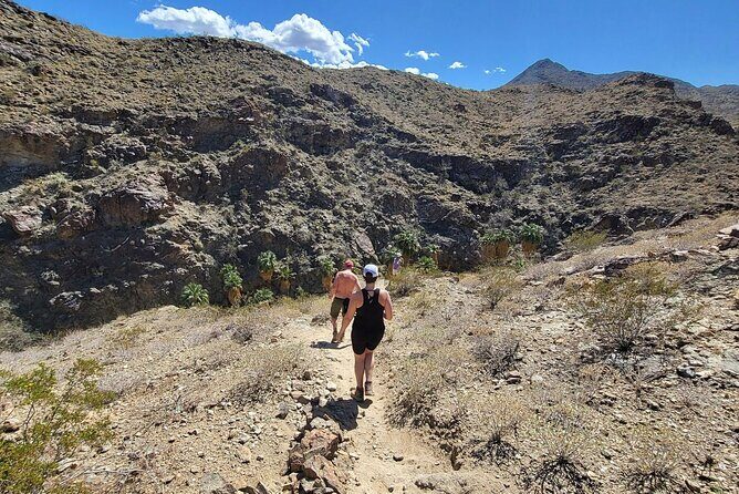 Palm Springs Hike to an Oasis and Amazing Desert Views - Frequently Asked Questions