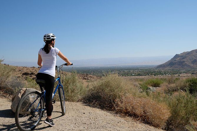 Palm Springs Indian Canyons Bike and Hike - An In-Depth Look at the Palm Springs Indian Canyons Bike and Hike Tour