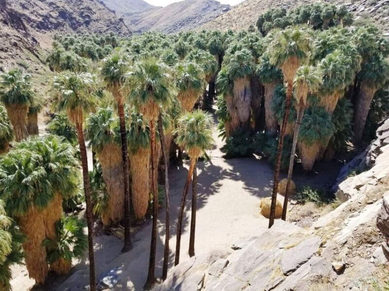 Palm Springs: Indian Canyons Jeep/Hiking Combo Tour - Who Is It Best For?