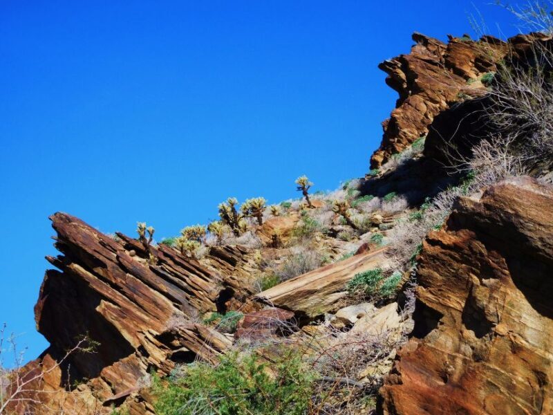 Palm Springs: Indian Canyons Jeep/Hiking Combo Tour - The Sum Up