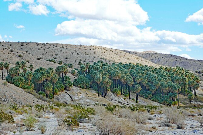 Palm Springs Self-Guided Driving Audio Tour - In-Depth Review: What the Tour Offers and How It Works