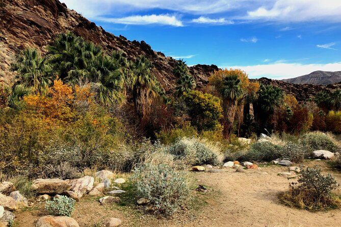 Palm Springs Self-Guided Driving Audio Tour - Who Will Love This Tour?