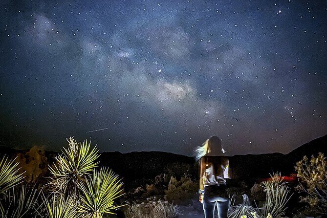 Palm Springs Stargazing Tour with Night Vision Goggles - A Closer Look at the Experience