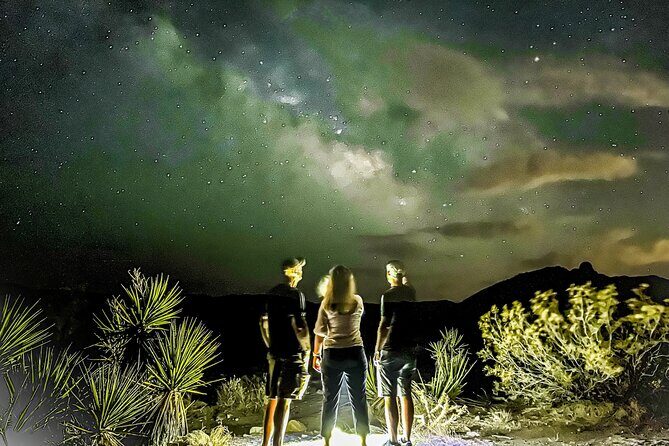 Palm Springs Stargazing Tour with Night Vision Goggles - Who Is This Tour Best For?