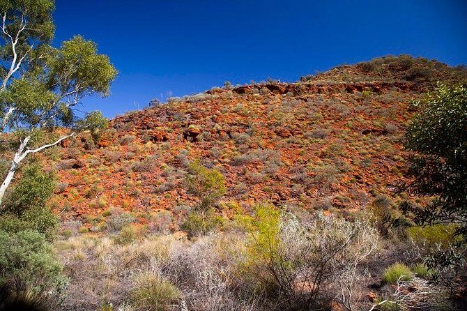Palm Valley 4WD Tour from Alice Springs - Introduction: An Authentic Outback Day Trip