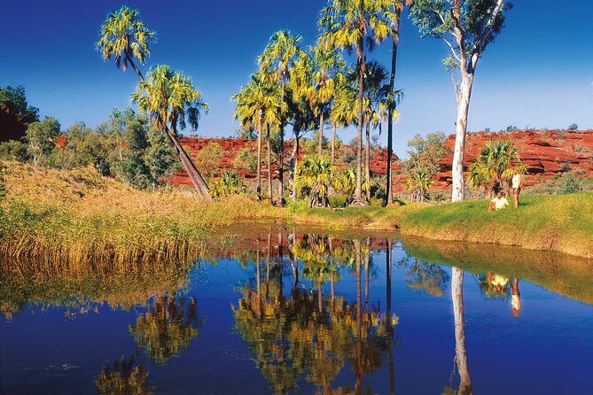 Palm Valley 4WD Tour from Alice Springs - What to Expect During Your Day