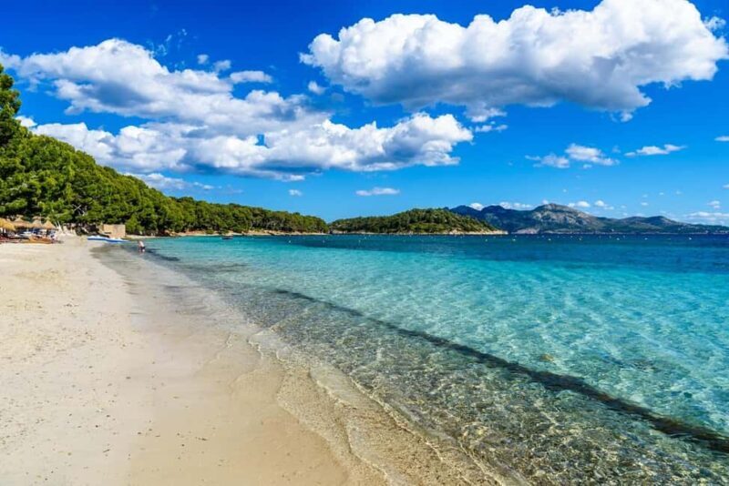 Palma: Alcúdia, Port de Pollença & Cap de Formentor Day Trip - Who Should Book This Tour?