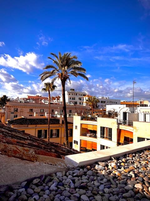 Palma authentically. City tour with snacks and wine - Key Points