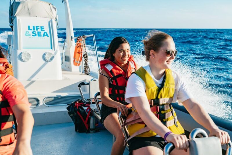 Palma Bay: 1-Hour Speedboat Adventure - Detailed Review of the Palma Bay Speedboat Adventure