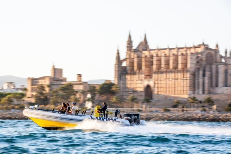 Palma Bay: Speedboat Discovery Tour - Key Points